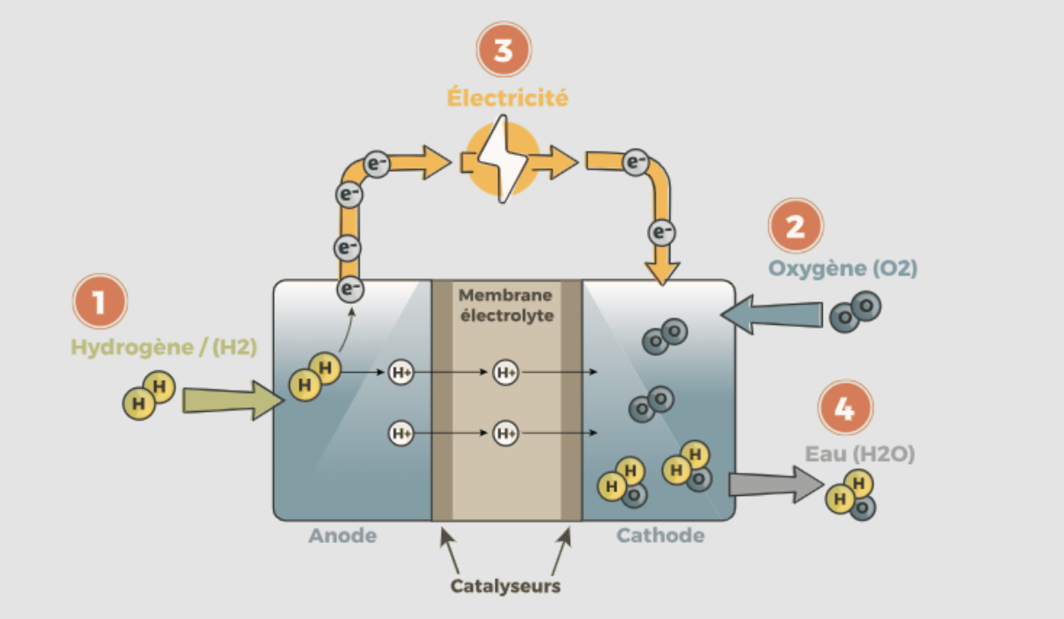 Les Piles à Combustible : l'énergie de demain | Thieme